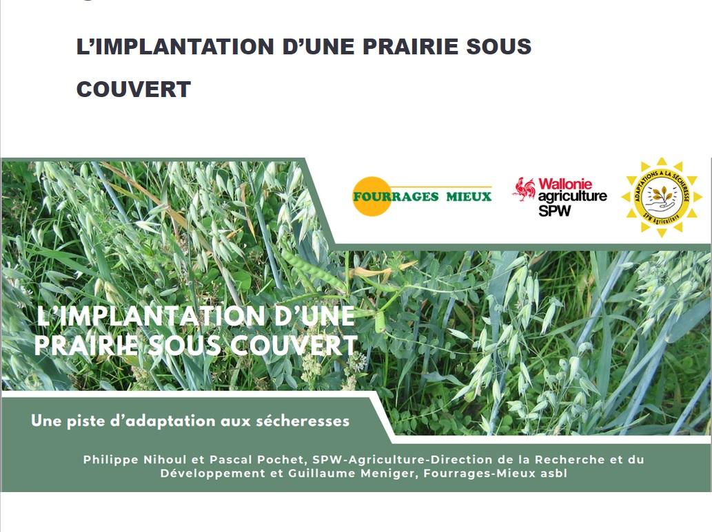 L’implantation d’une prairie sous couvert